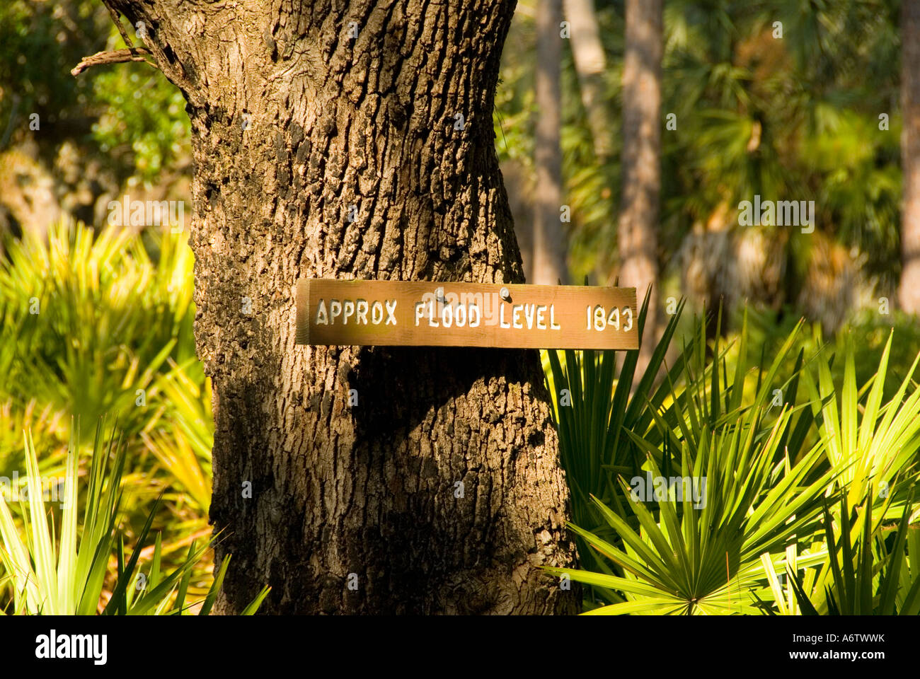 St. Marks National Wildlife Refuge Florida Mounds Pool Trail 1843 ...