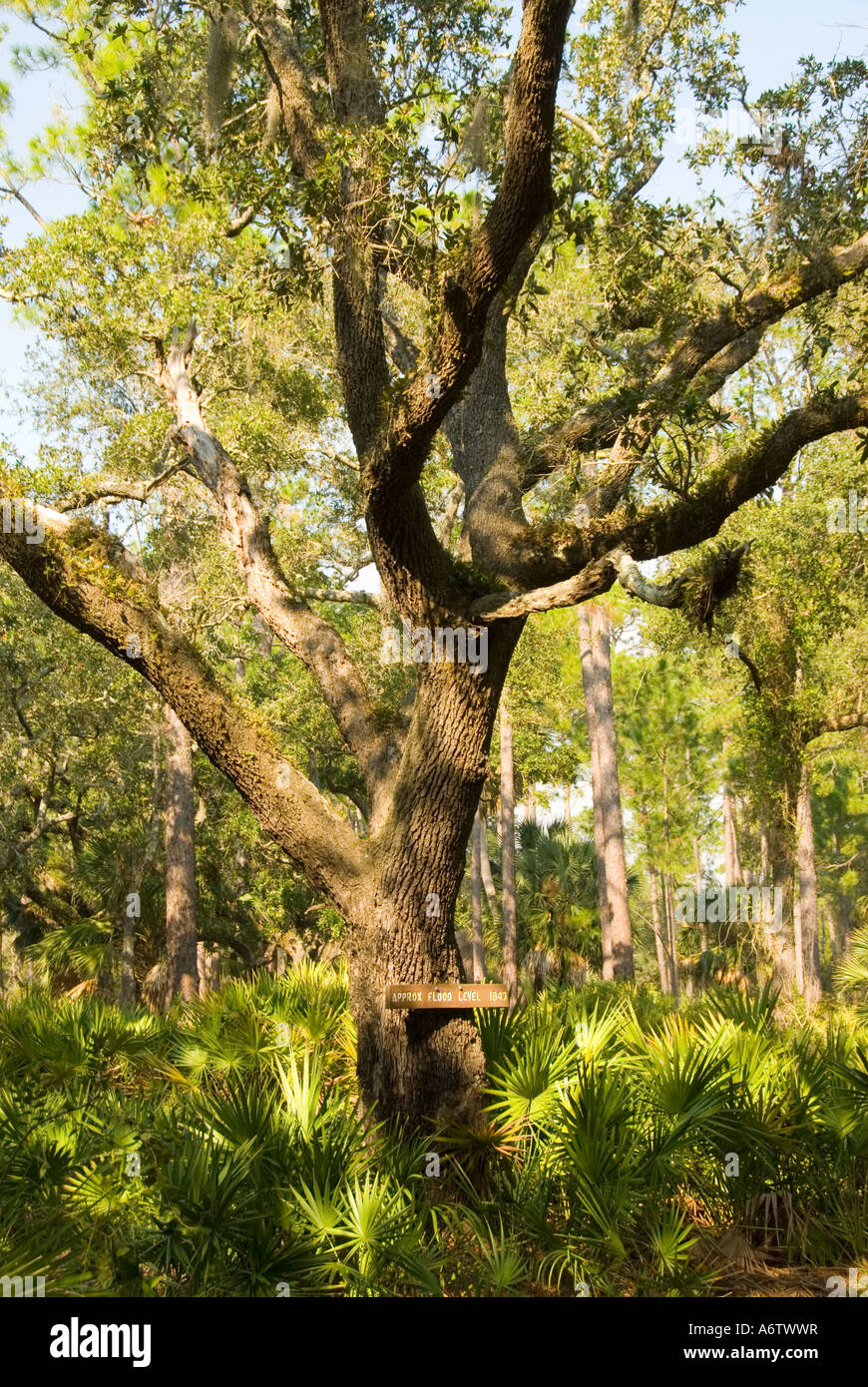 St mark national wildlife refuge hi-res stock photography and images ...