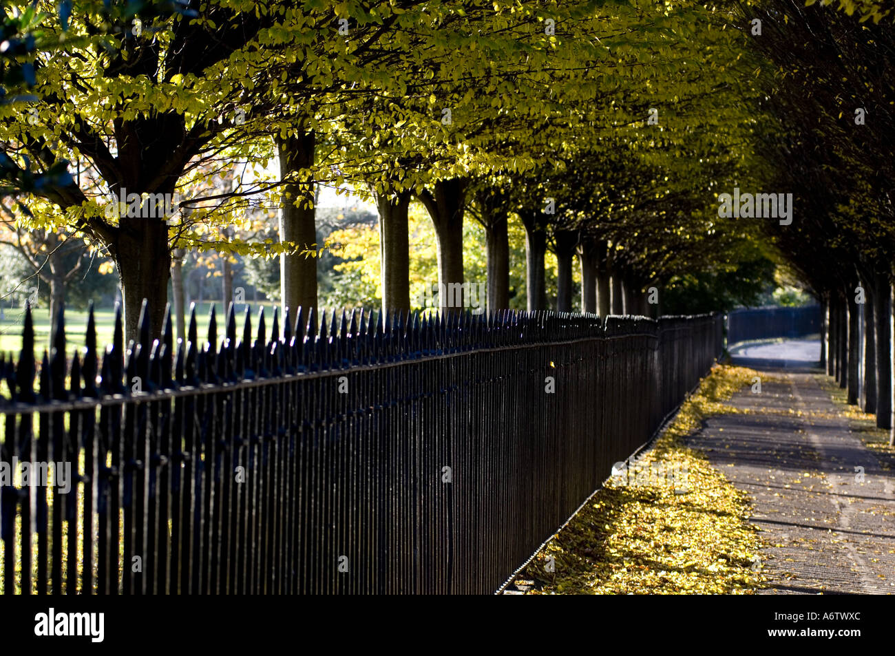 Black railings park hi-res stock photography and images - Alamy