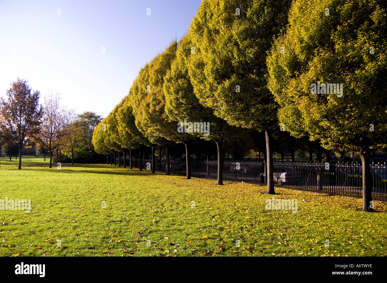 Ballsbridge park hi-res stock photography and images - Alamy