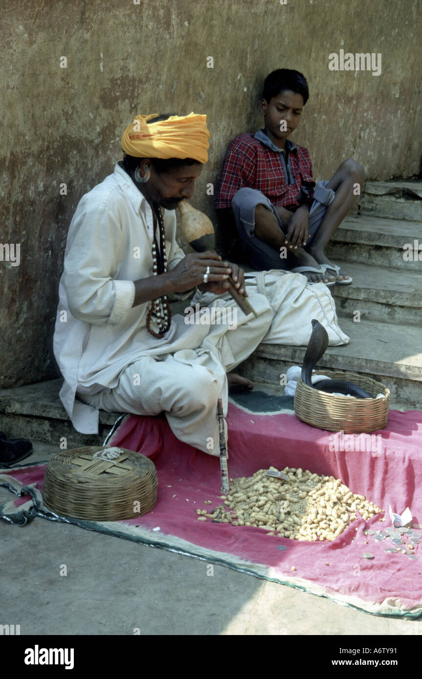 Monkey charmer hi-res stock photography and images - Alamy