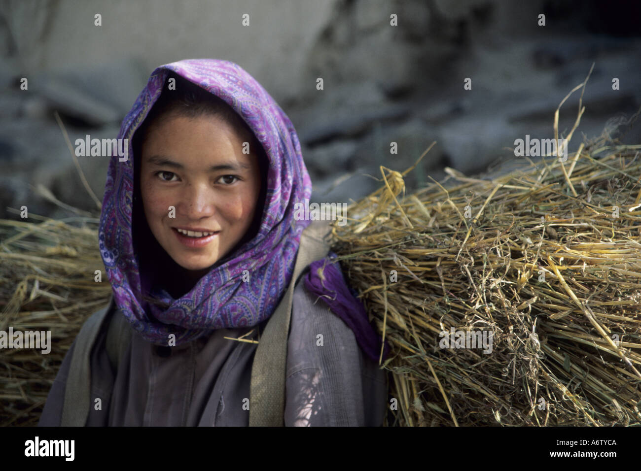 Asia, India, Ladakh, Nimo Village. Girl carries bundle of barley on ...