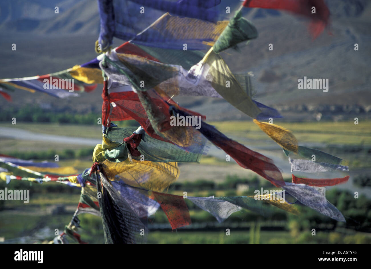 Asia, India, Ladakh, Leh. fluttering Buddhist prayer flags send prayers ...