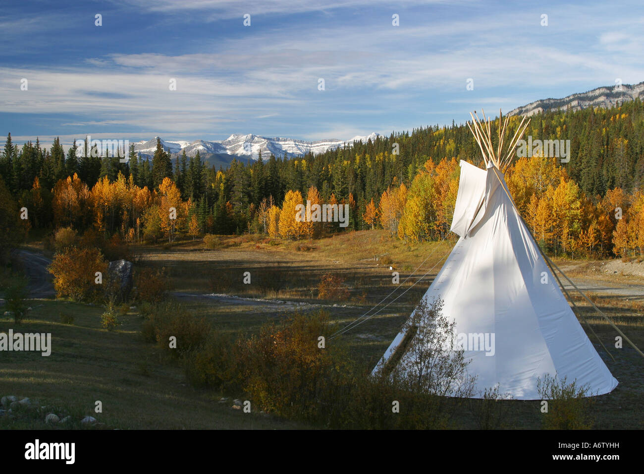 Tipi, fall forest, Herbst-Wald in den Rocky Mountains, David Thompson ...