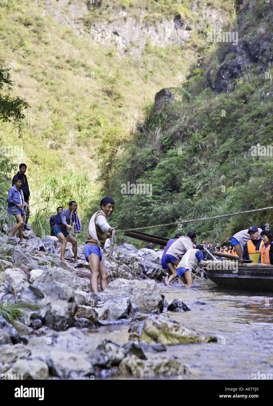 Peapod boatmen strain against the ropes to pull pea boats loaded with ...
