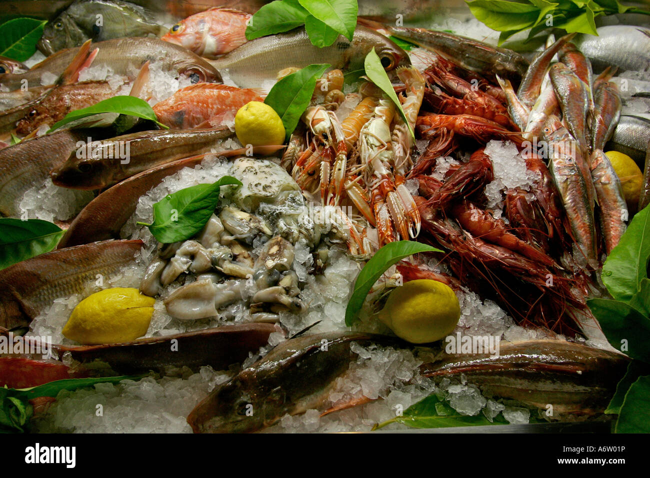 Seafood cooled with ice on display Stock Photo - Alamy