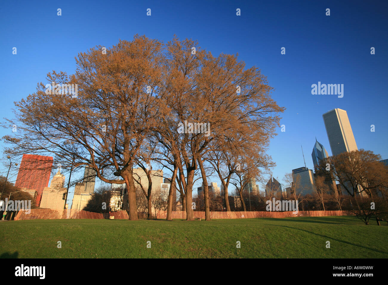 Early morning in downtown Chicago, Illinois, USA Stock Photo - Alamy