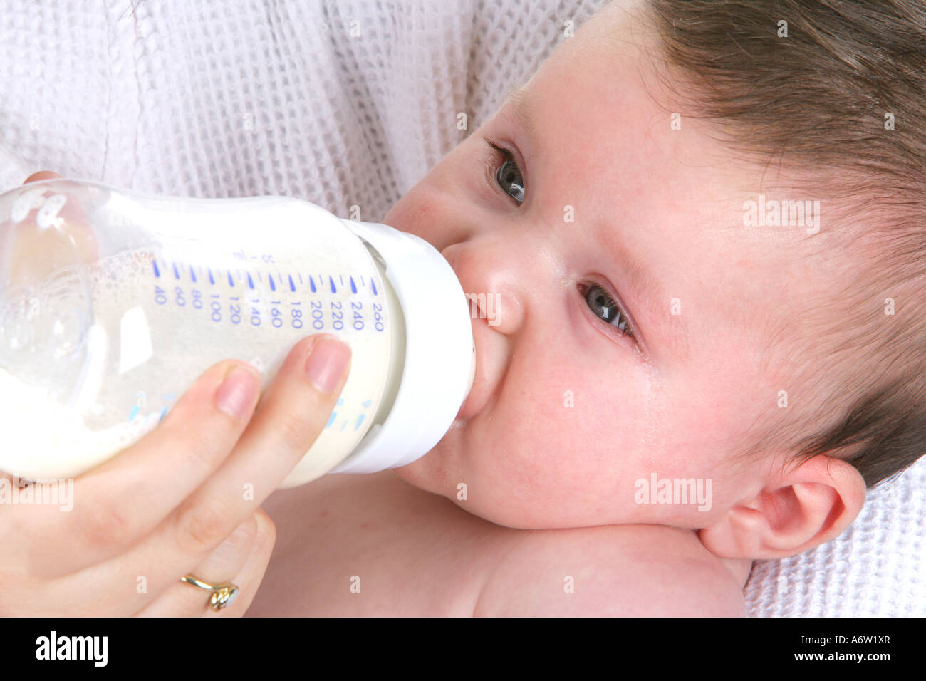 Mother Feeding Baby Models Released Stock Photo - Alamy