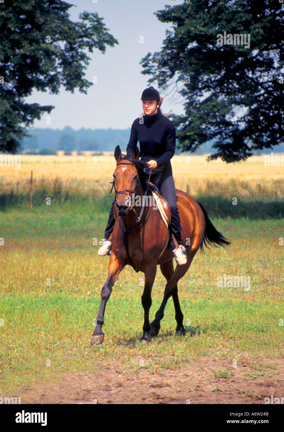 Sport Horse back ridding Stock Photo - Alamy