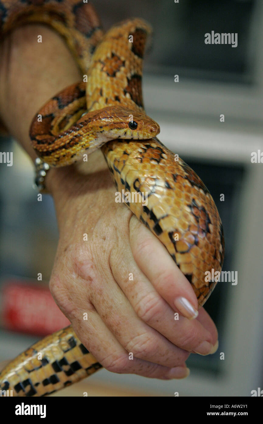 Snake woman hi-res stock photography and images - Alamy
