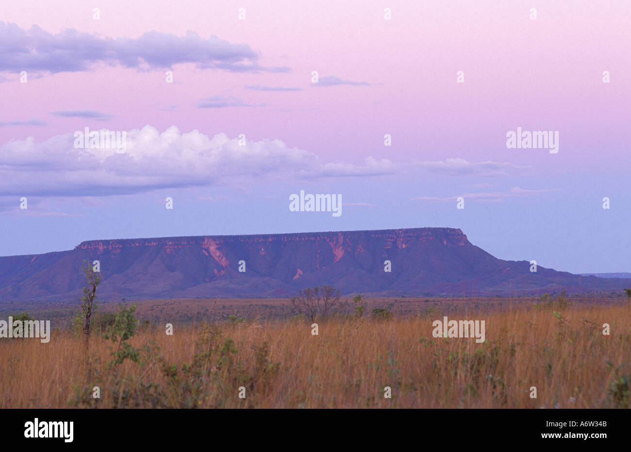 Chapadoes hi-res stock photography and images - Alamy