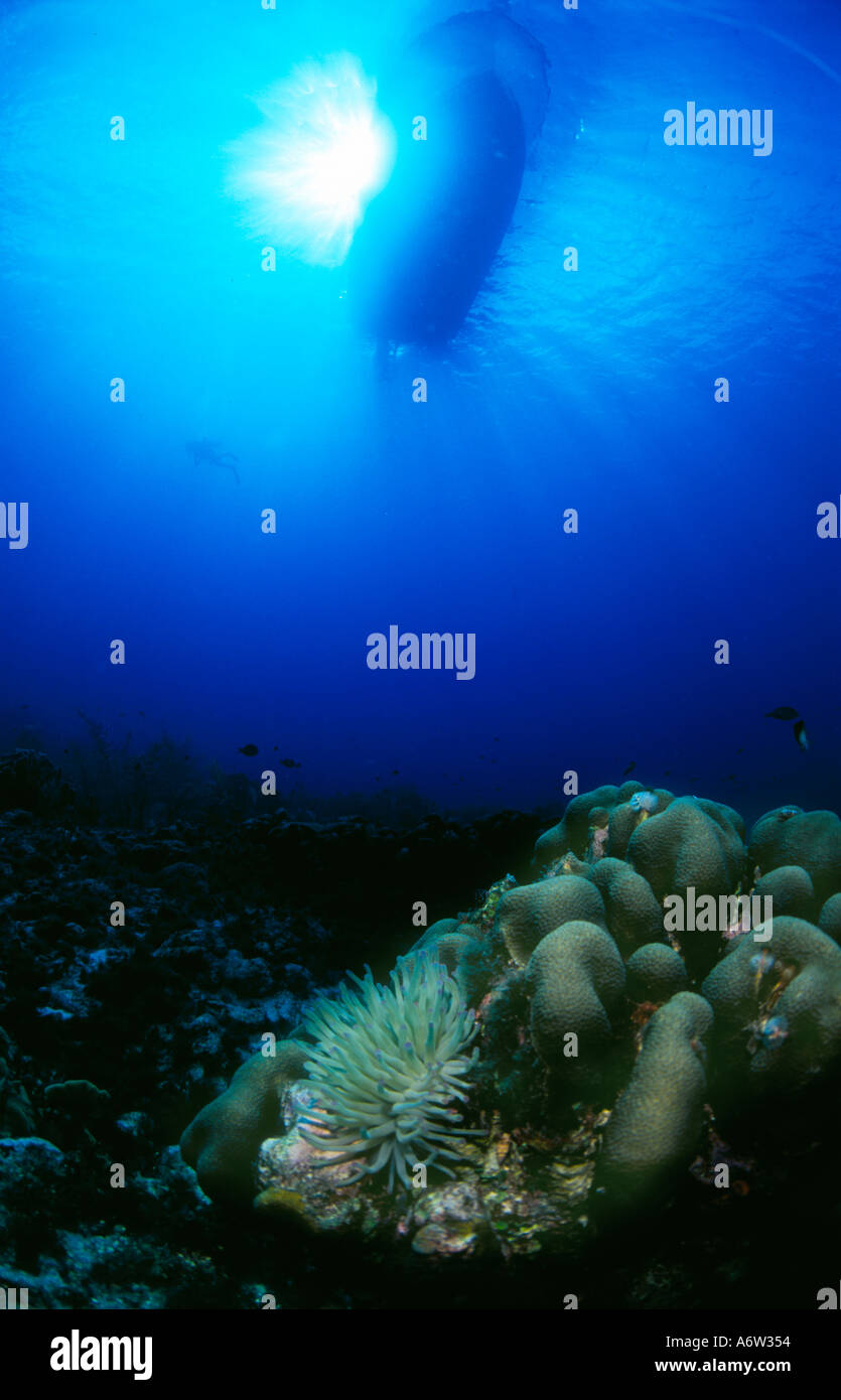 Dive boat over coral reef Stock Photo - Alamy