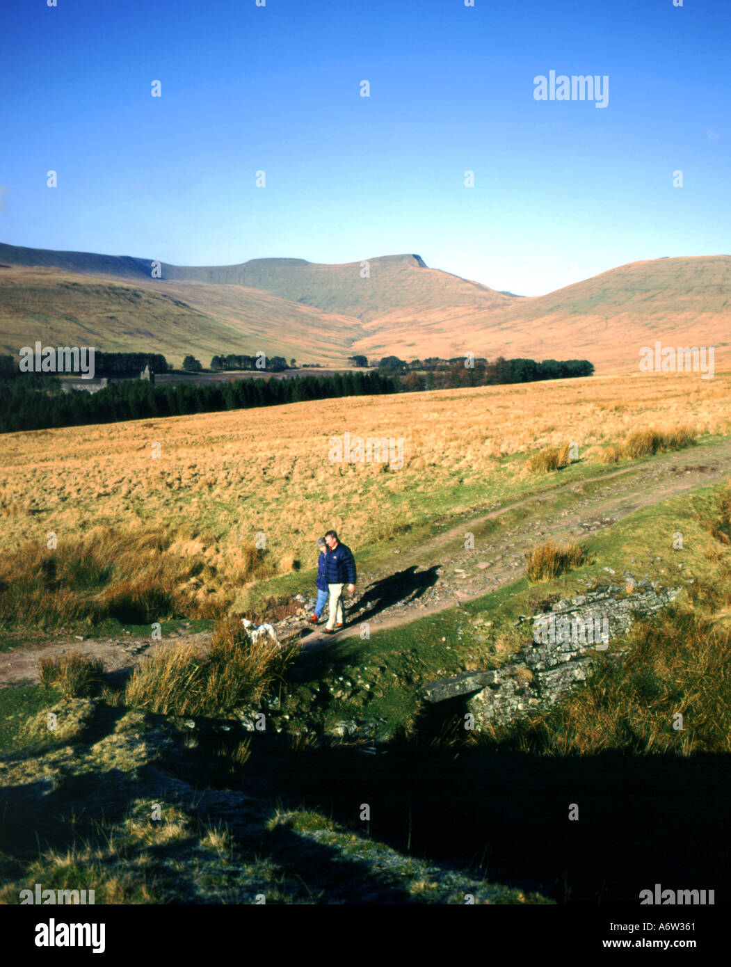 walkers on roman road upper neuadd with pen y fan and corn du in the ...