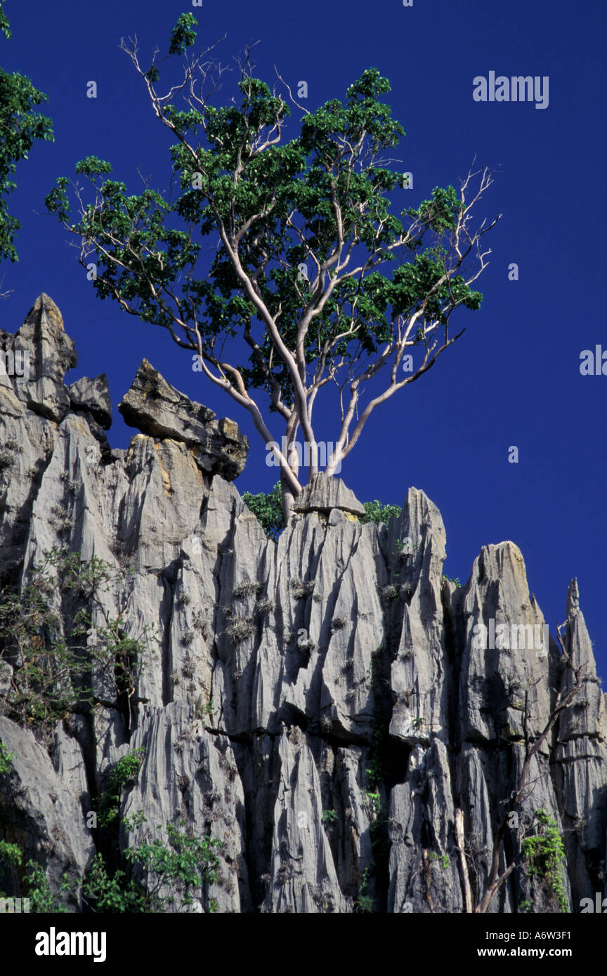 The profile of the Mount of the Lapa is the result of an weathering ...