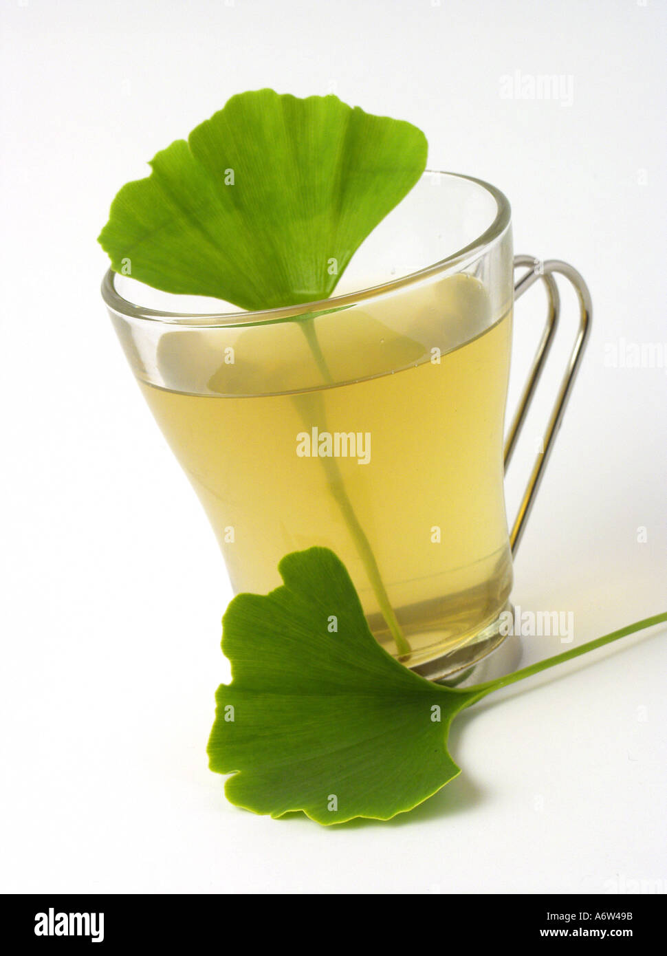 Ginkgo biloba infusion Stock Photo - Alamy