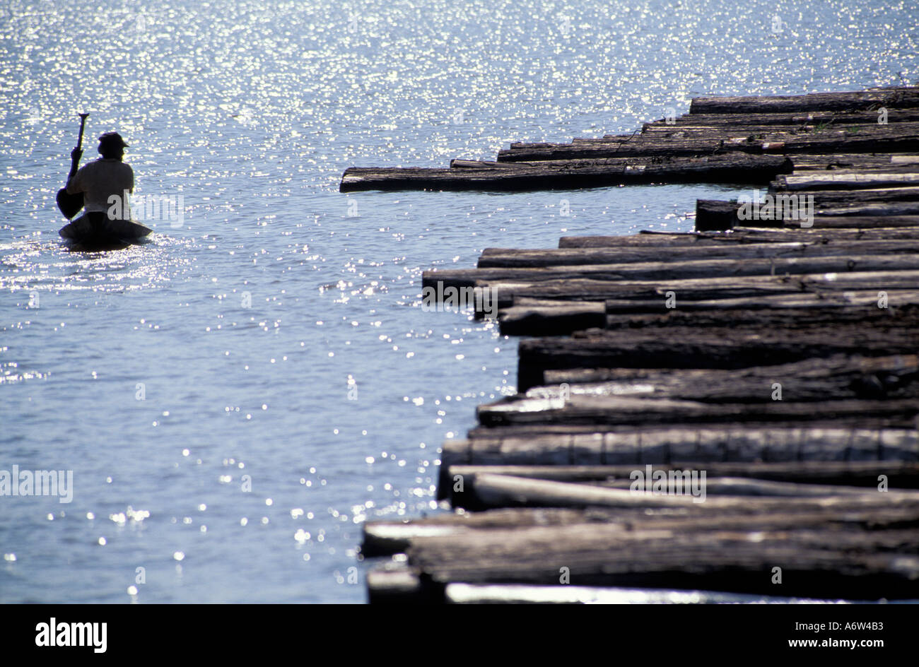 Lumbering amazon hi-res stock photography and images - Alamy