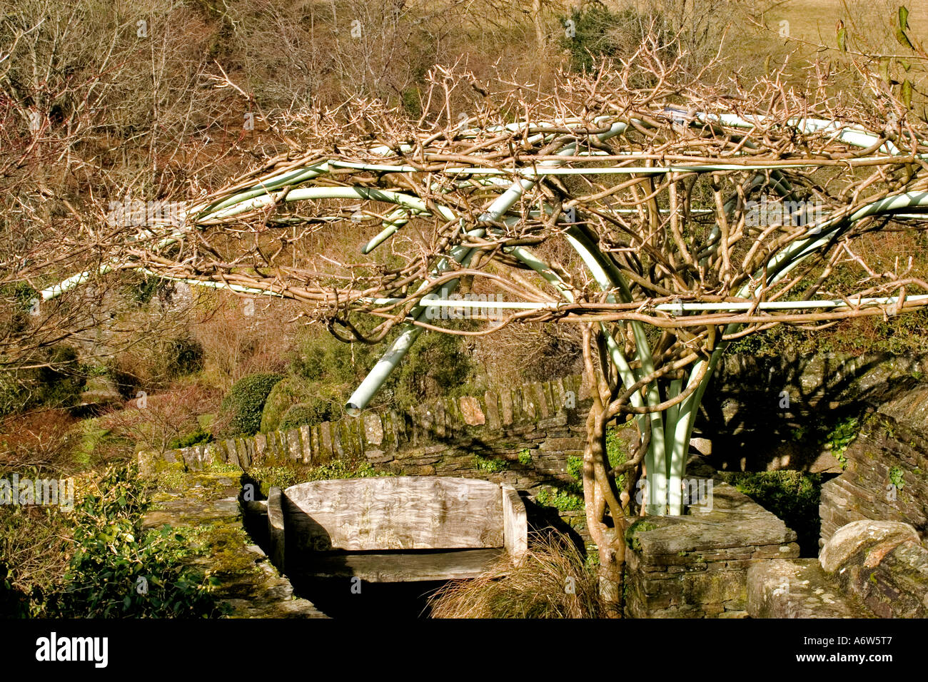 METAL SUPPORT FOR A MATURE WISTERIA AT THE GARDEN HOUSE, DEVON, ENGLAND ...