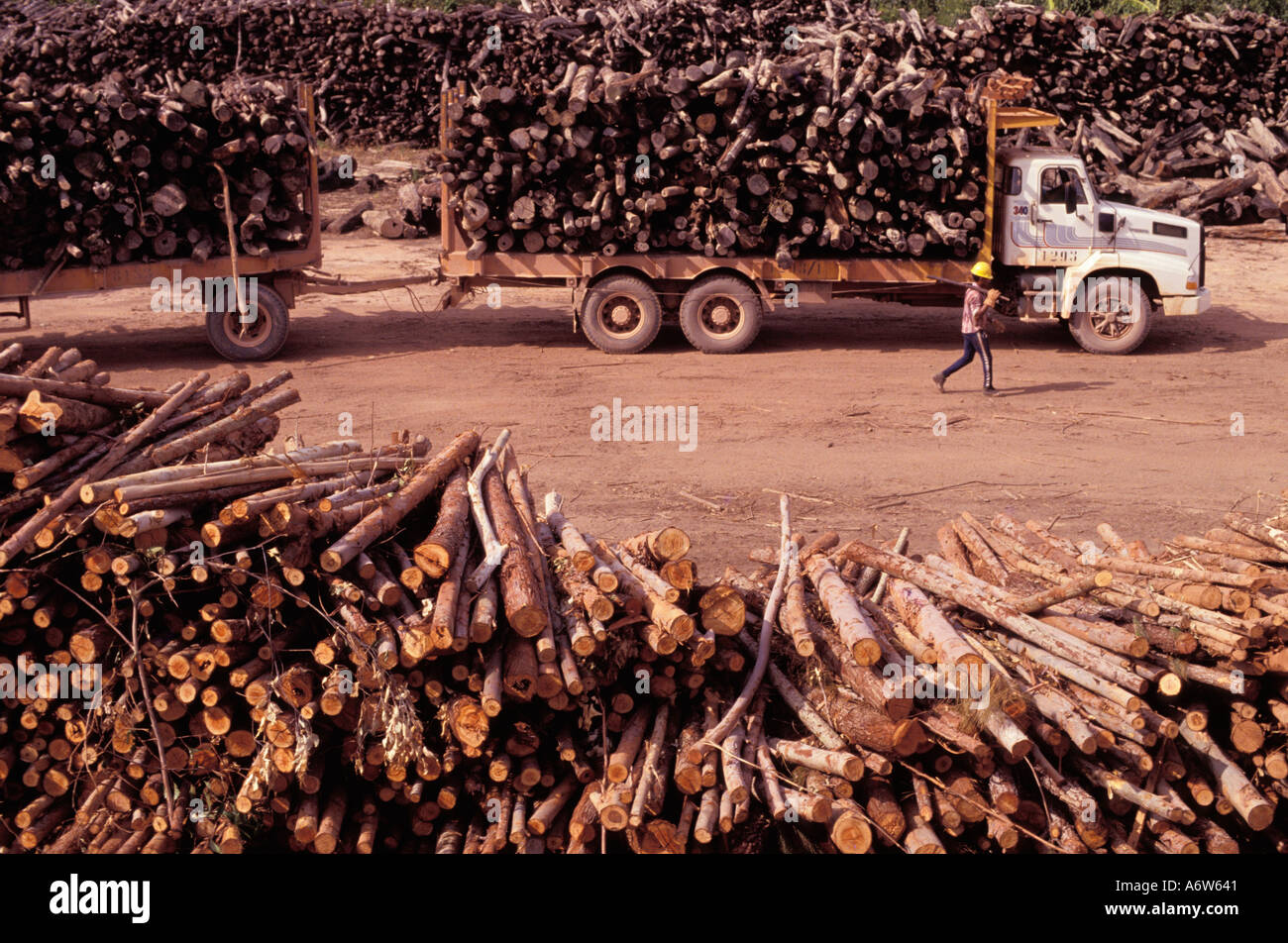 Logging Amazon rainforest Brazil Stock Photo - Alamy