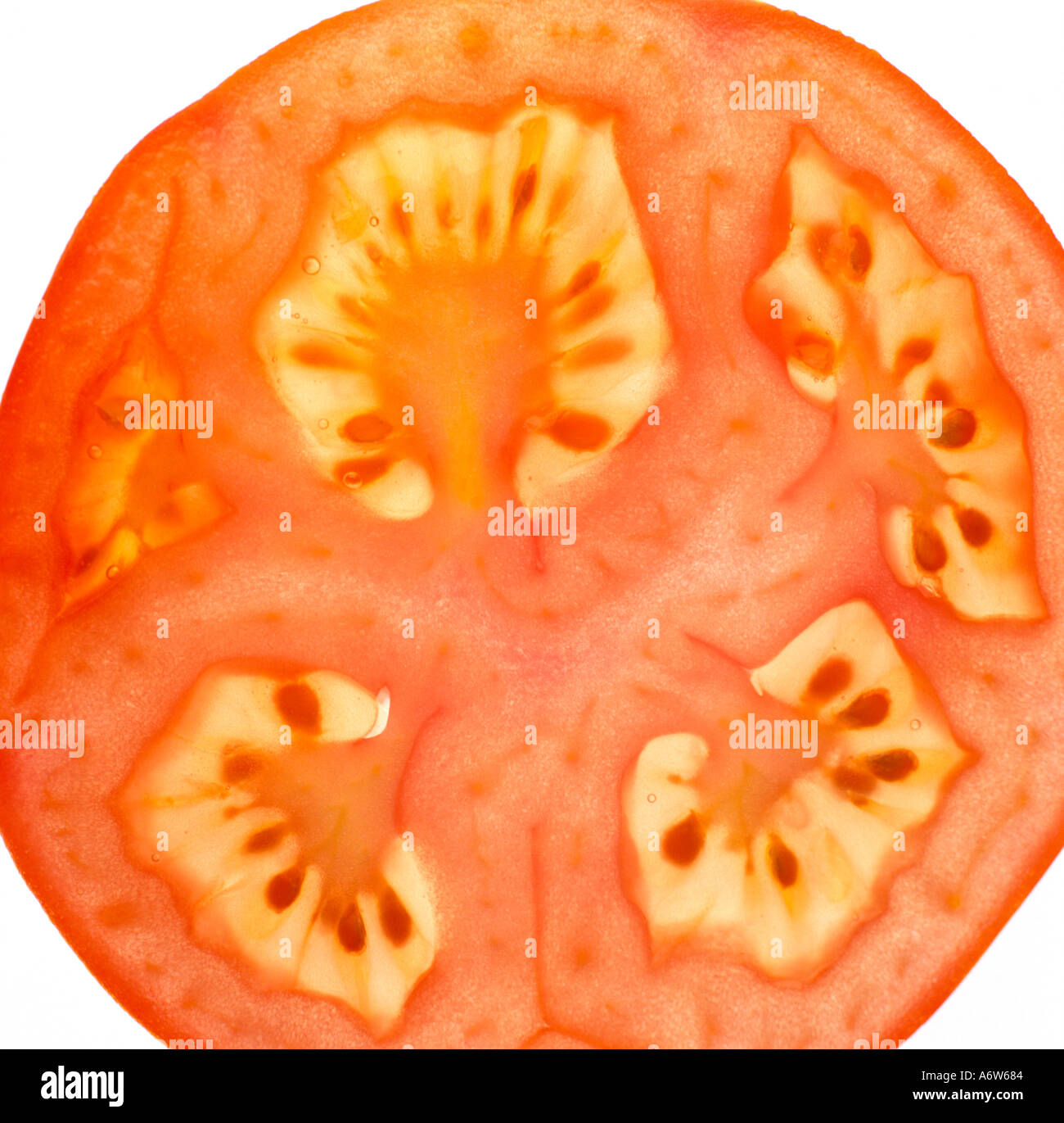 Tomato slice closeup backlit on white background Stock Photo - Alamy