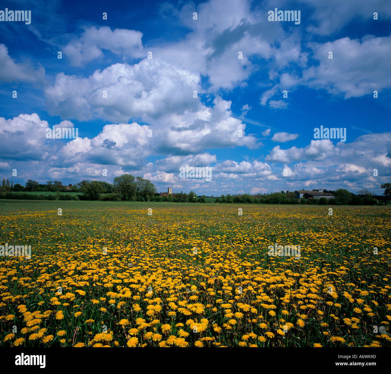 Oving High Resolution Stock Photography and Images - Alamy