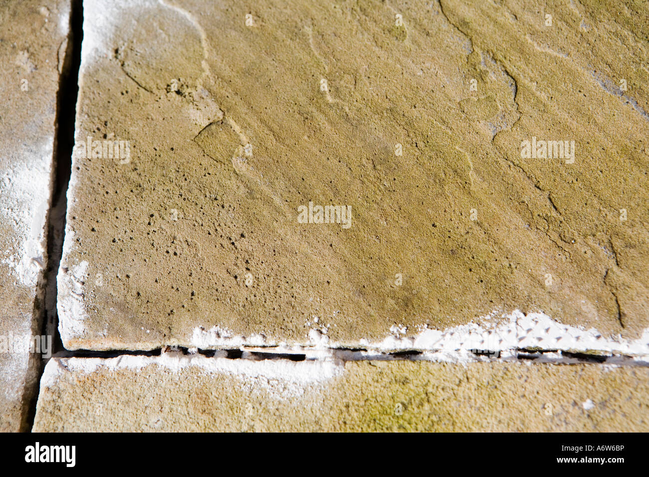 ANT POWDER ON PAVING Stock Photo - Alamy