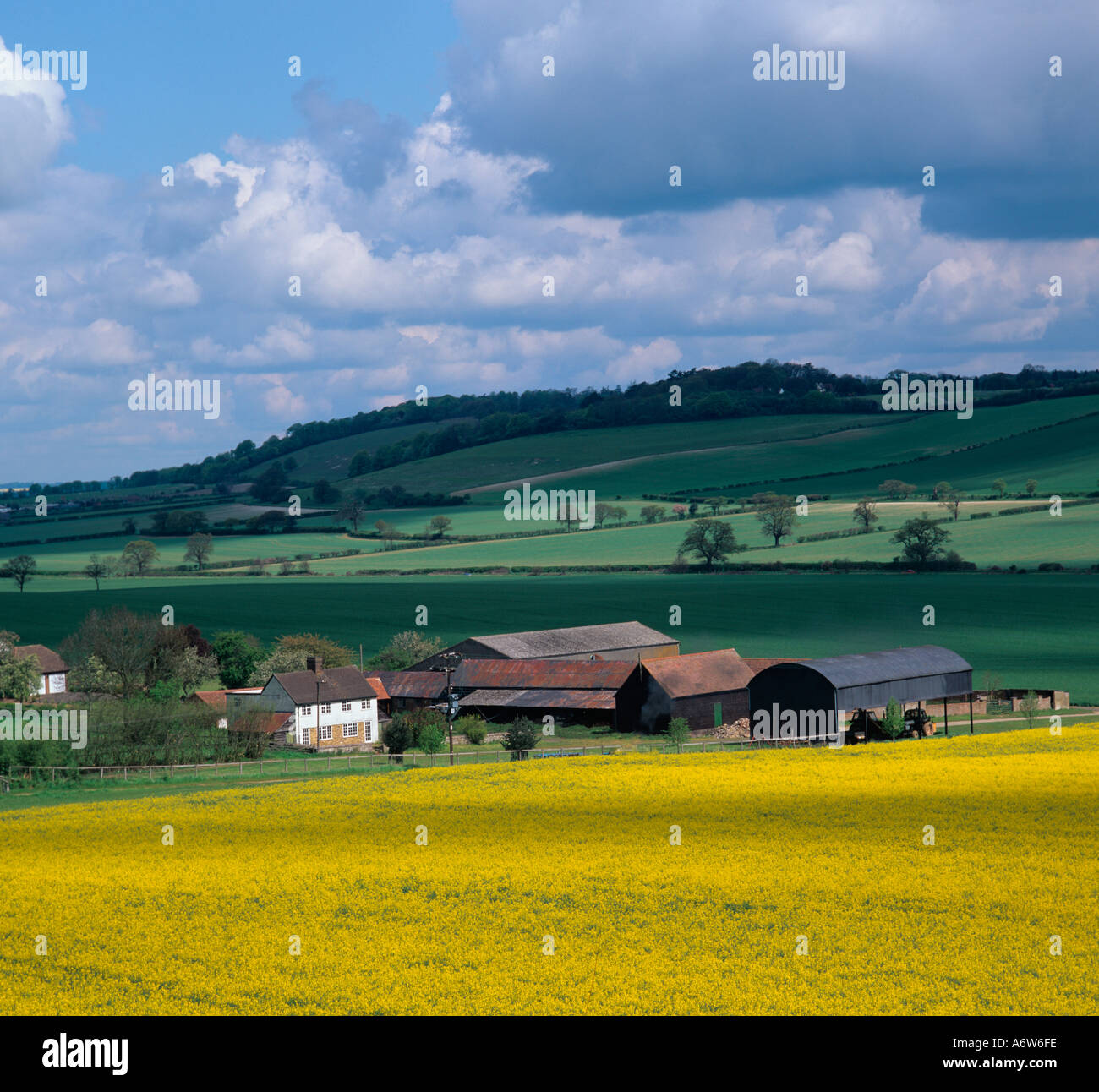 Lamsey Farm Gade Valley May Hertfordshire May Stock Photo - Alamy