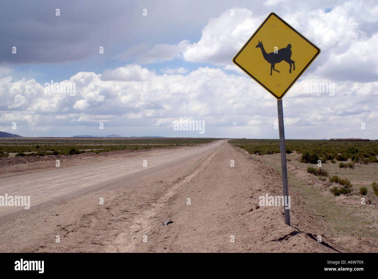Sign board: Lamas crossing the road, Uyuni Highlands, Bolivia Stock ...