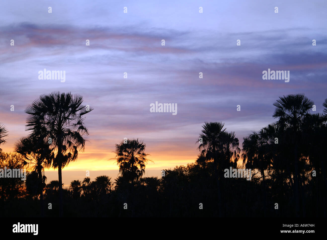 Chaco paraguay landscape hi-res stock photography and images - Alamy