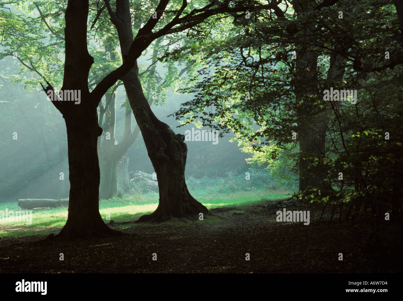 Homecounties hi-res stock photography and images - Alamy