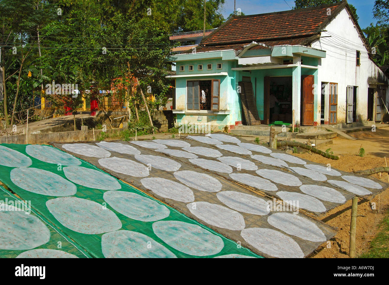 Drying of rice paper for spring rolls, Quang Nam Province, Vietnam ...