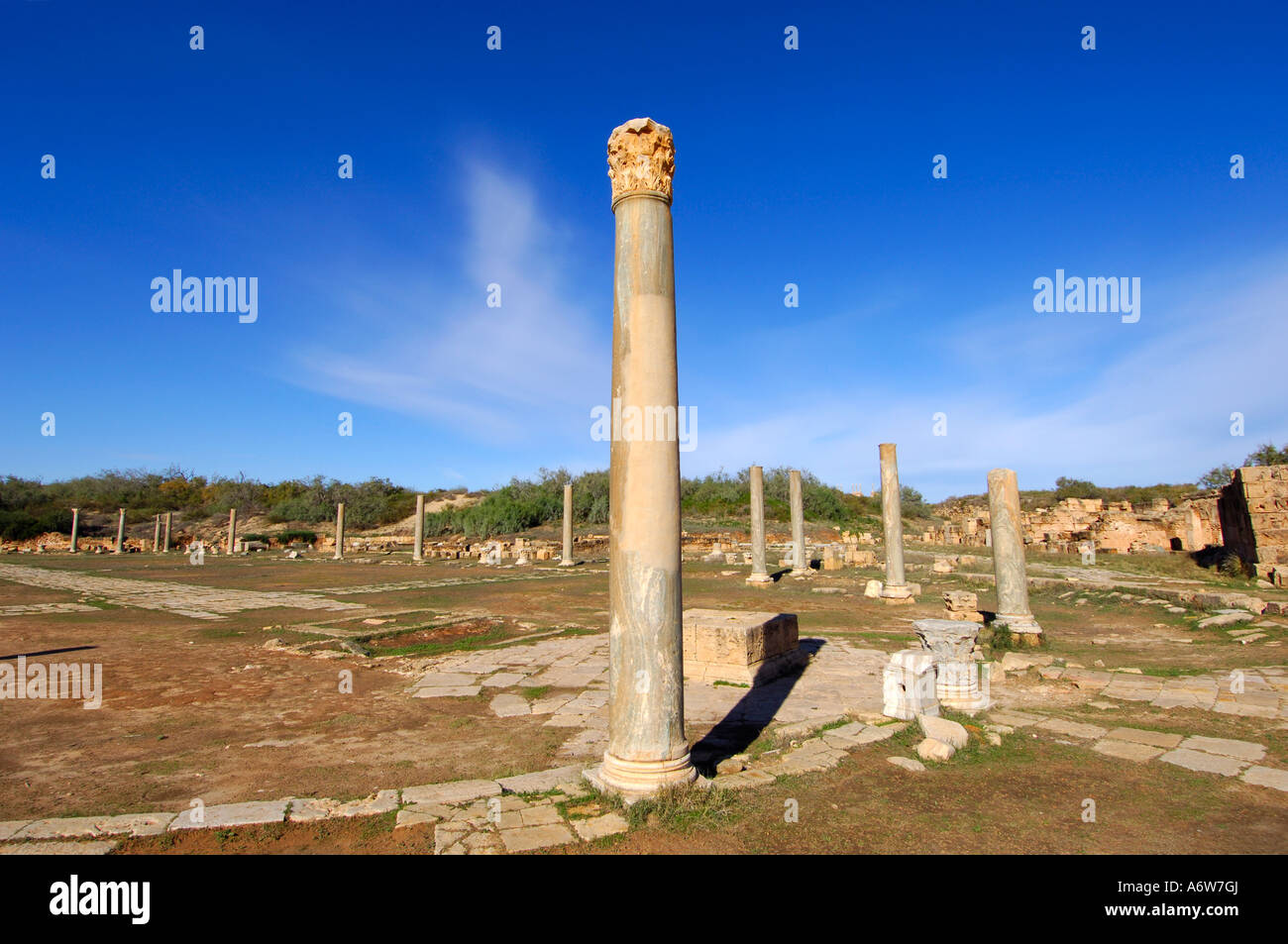 Column with corinthian capital, Ruins of the Roman City Leptis Magna, Libya Stock Photo - Alamy