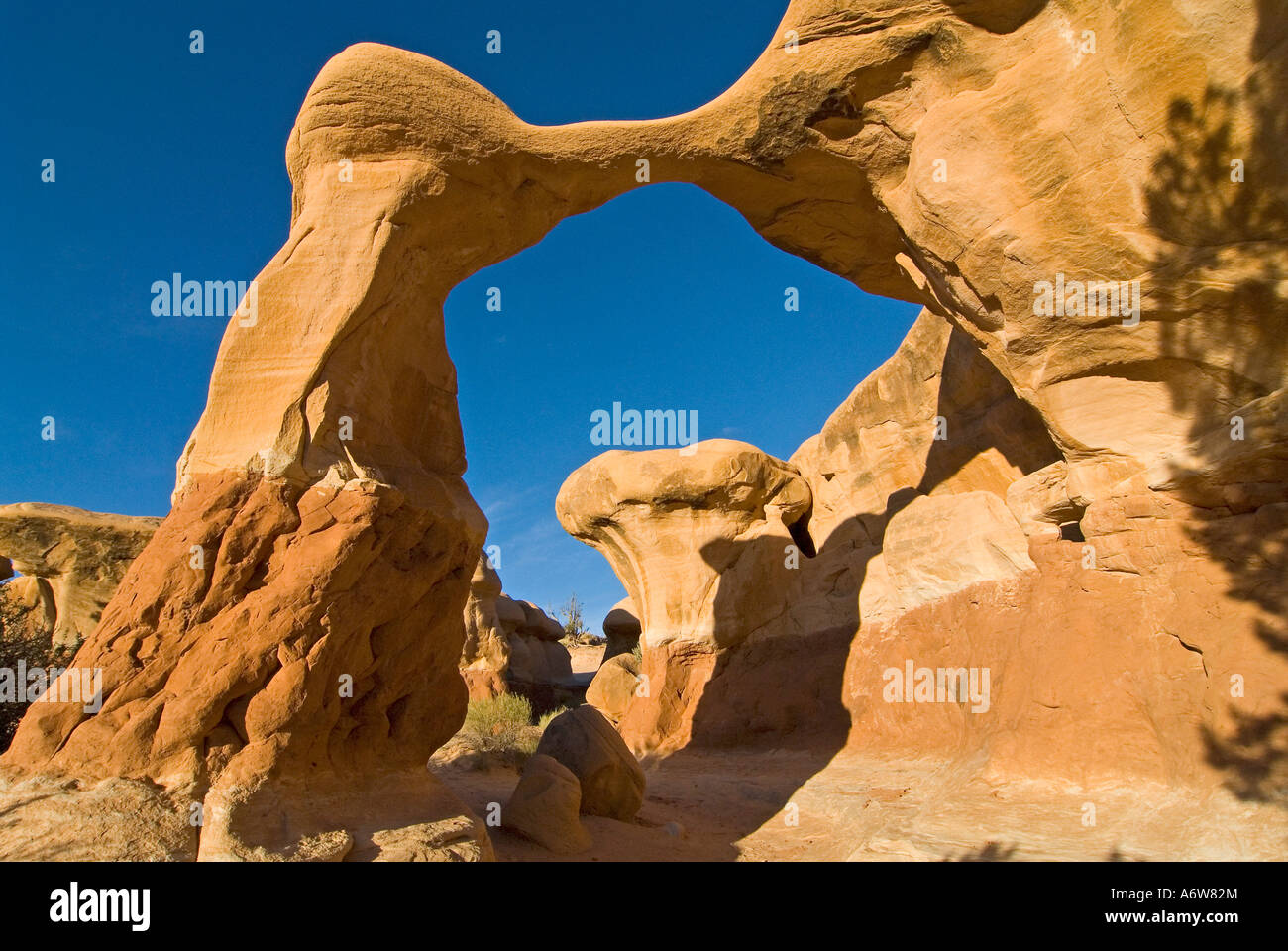 Natural bridge Metate Arch in the late afternoon, Devils Garden, Grand ...