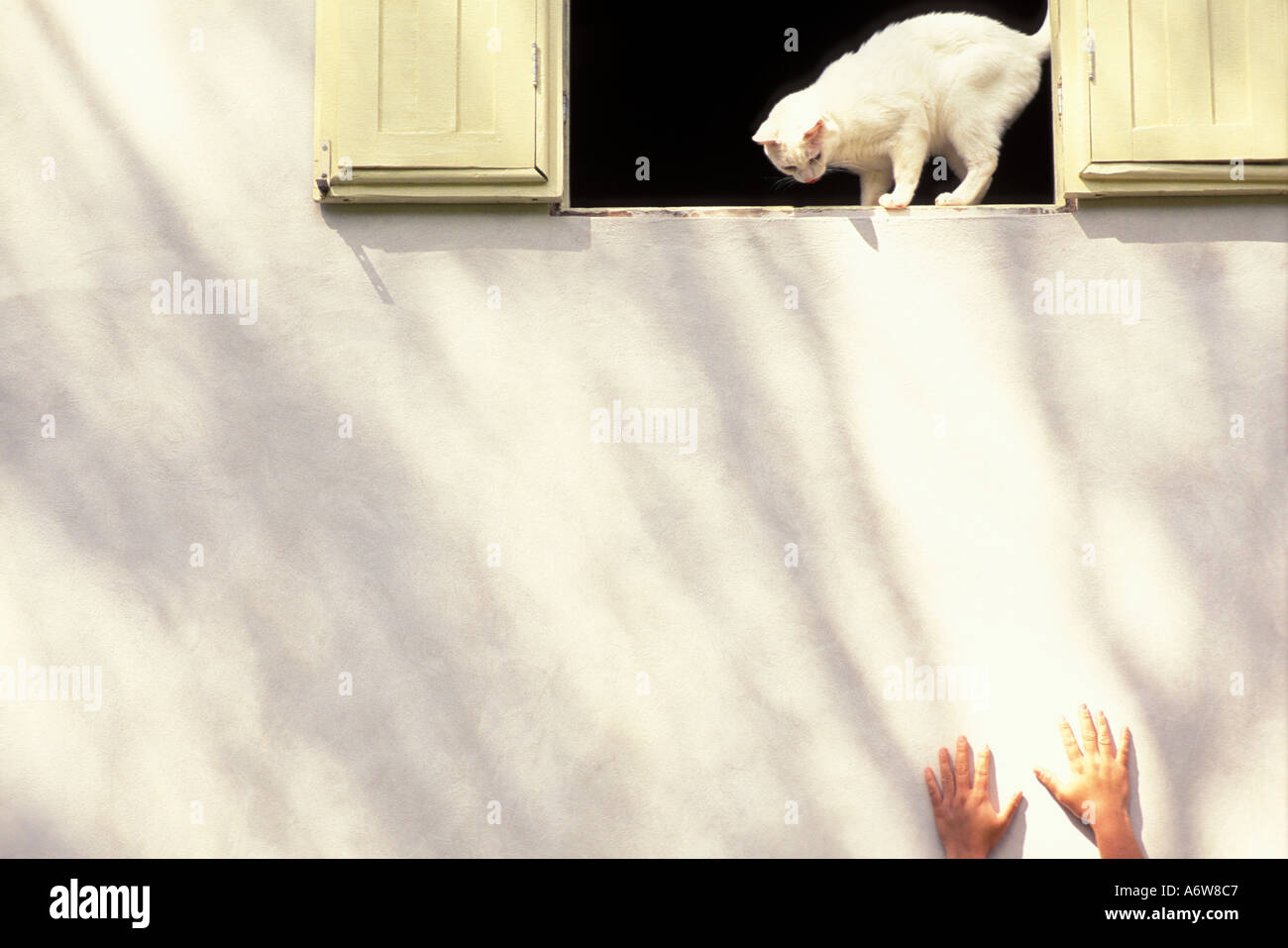 Jumping from window hi-res stock photography and images - Alamy