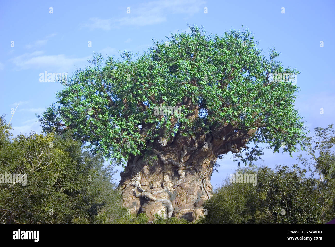 Tree of life disney hi-res stock photography and images - Alamy
