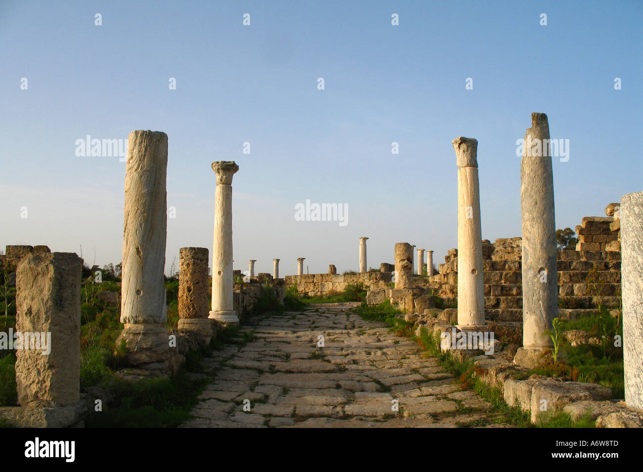 View of Salamis ancient Greek city in Northern Cyprus Stock Photo - Alamy