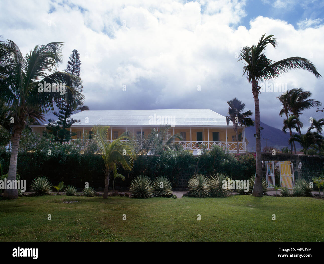 Golden Lemon St Kitts Stock Photo - Alamy