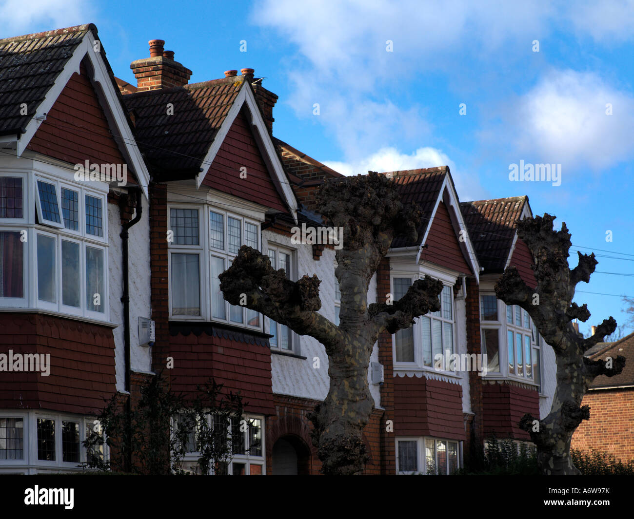 Houses & Plane Trees Wimbledon London England Stock Photo - Alamy