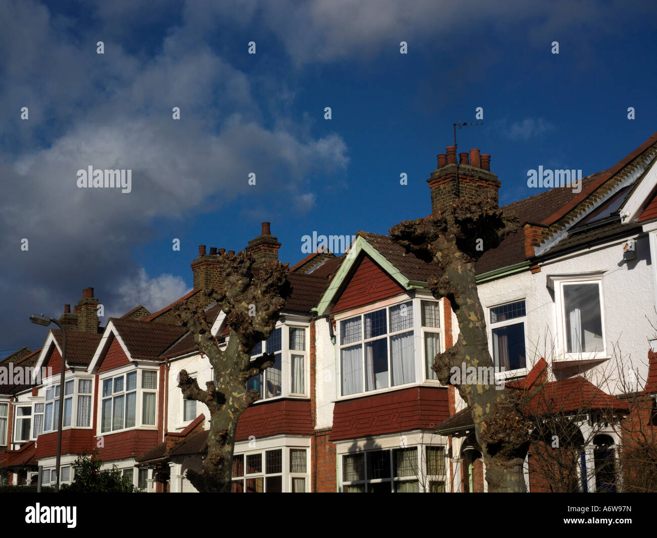 Houses & Plane Trees Wimbledon London England Stock Photo - Alamy