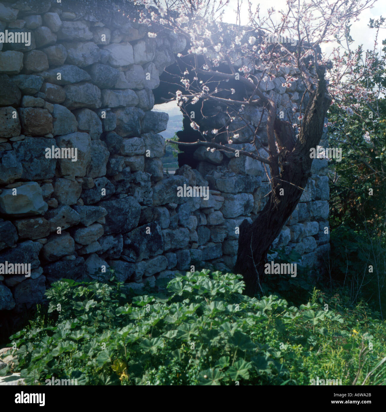 Begining time hi-res stock photography and images - Alamy