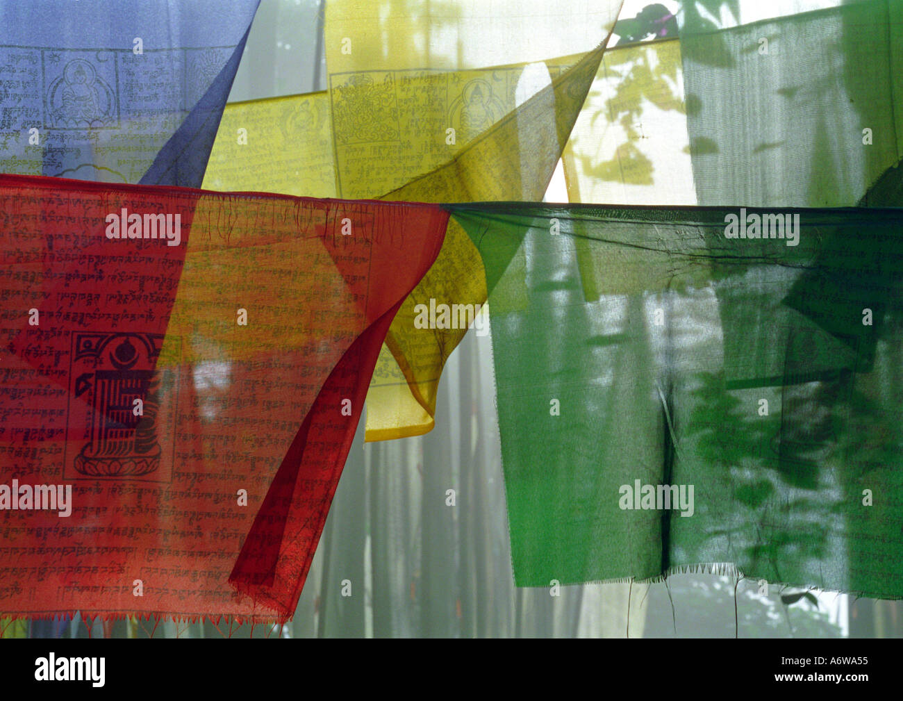 Prayer flags Sikkim Himalayas India Stock Photo - Alamy