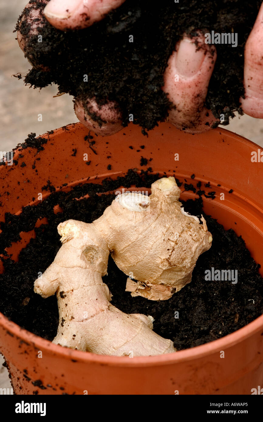Propagating hi-res stock photography and images - Alamy
