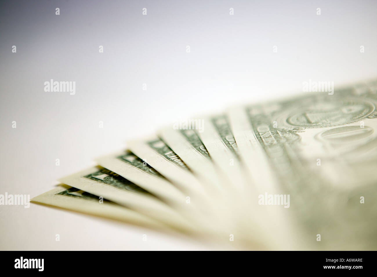 Studio shot of clean one dollar notes faned out on a plain white ...