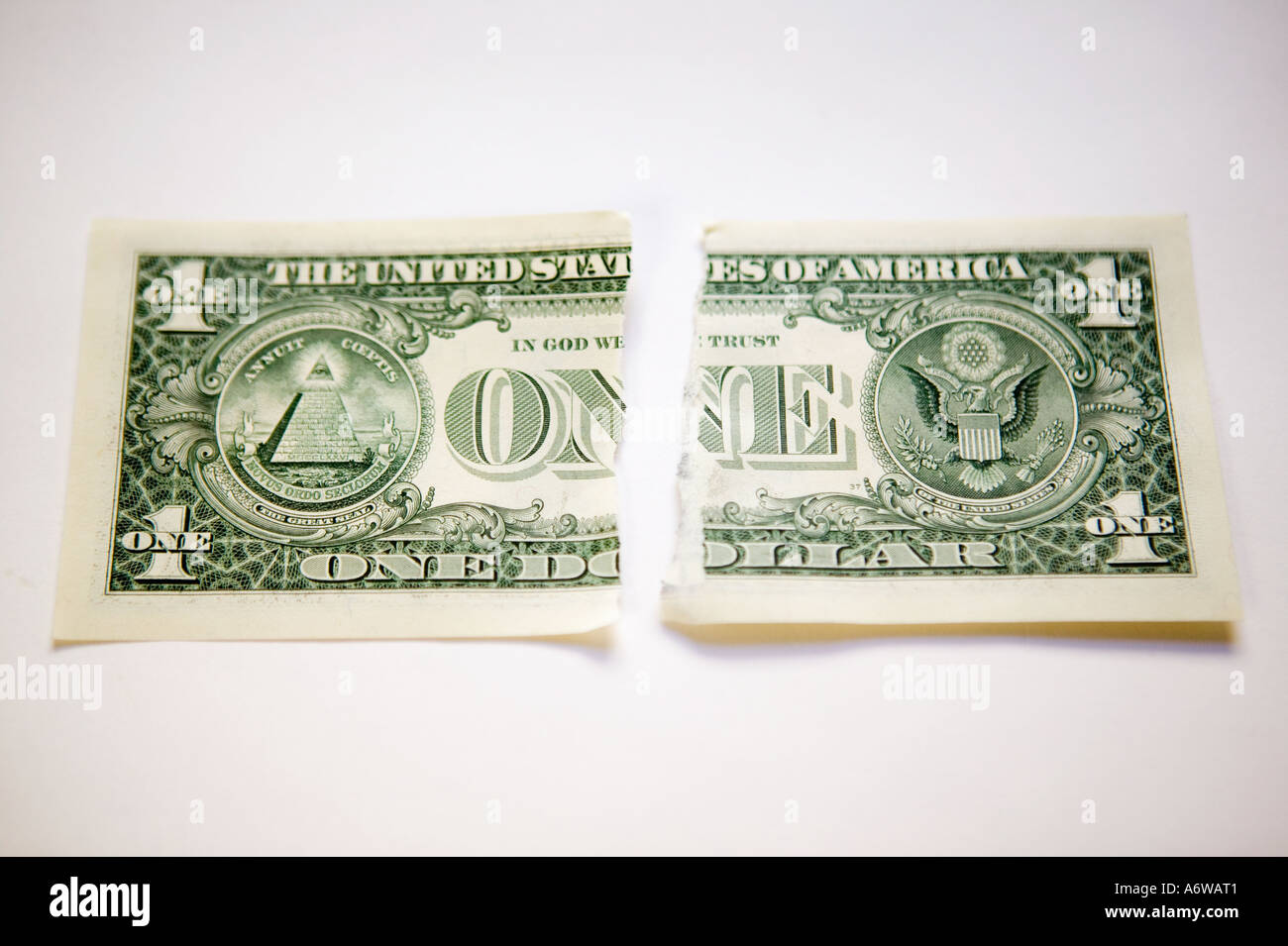 Studio shot of a clean one dollar note torn in half standing on a plain ...