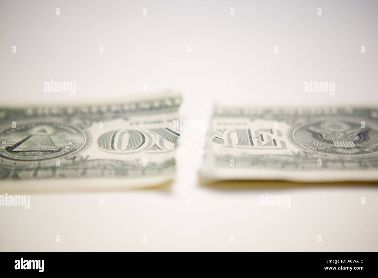 Studio shot of a clean one dollar note torn in half standing on a plain ...