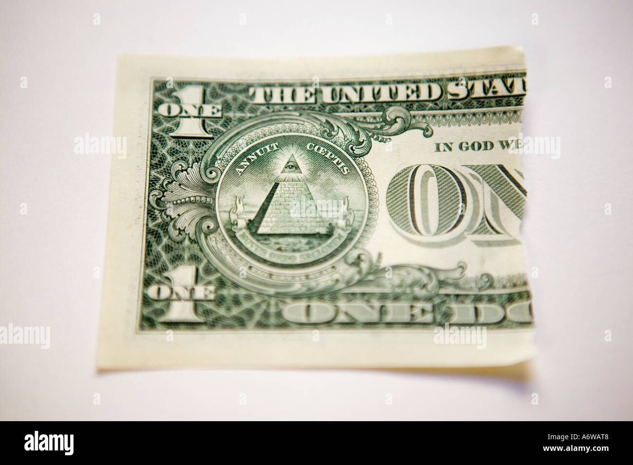 Studio shot of half of a clean one dollar note torn down the middle on ...