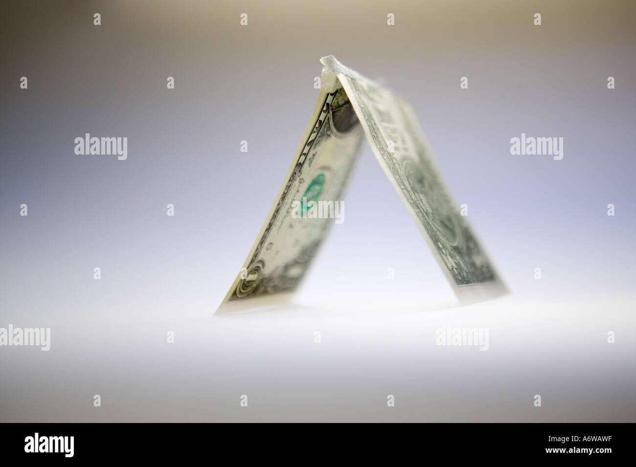 Studio shot of a clean one dollar note torn in half standing in a ...