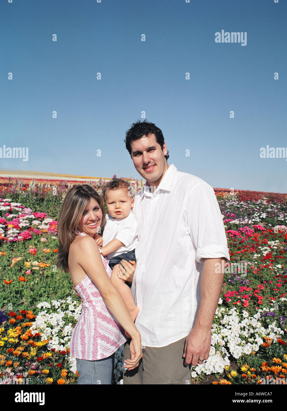 Family in field of flowers Stock Photo - Alamy