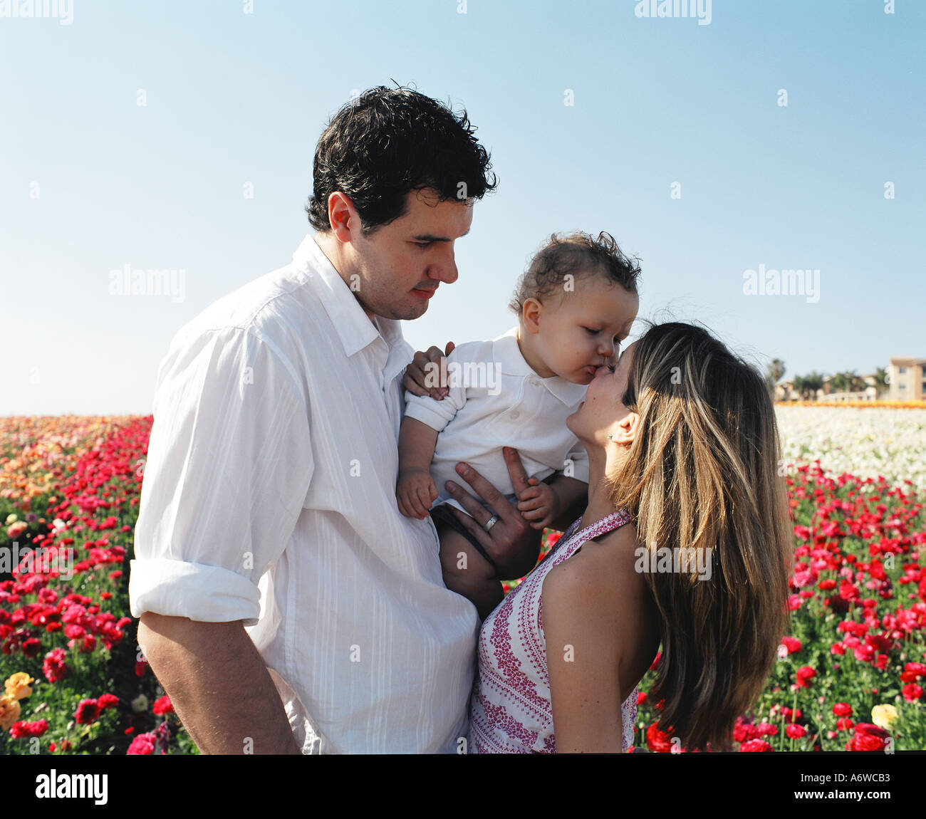 Family in field of flowers Stock Photo - Alamy