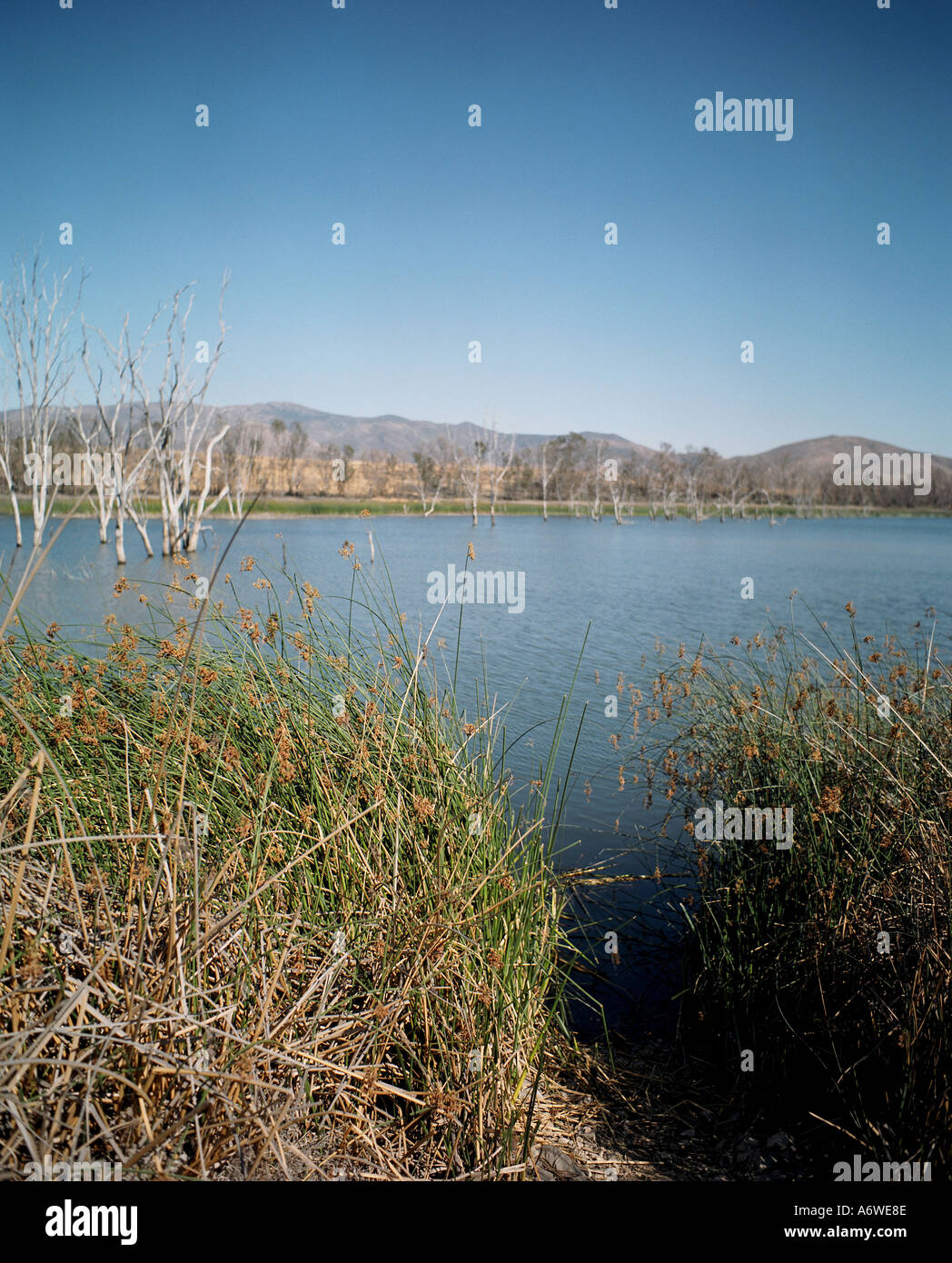 Otay lake hi-res stock photography and images - Alamy