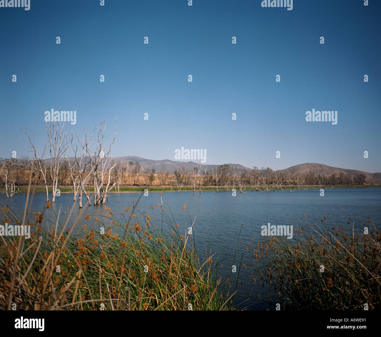 Otay lakes hi-res stock photography and images - Alamy